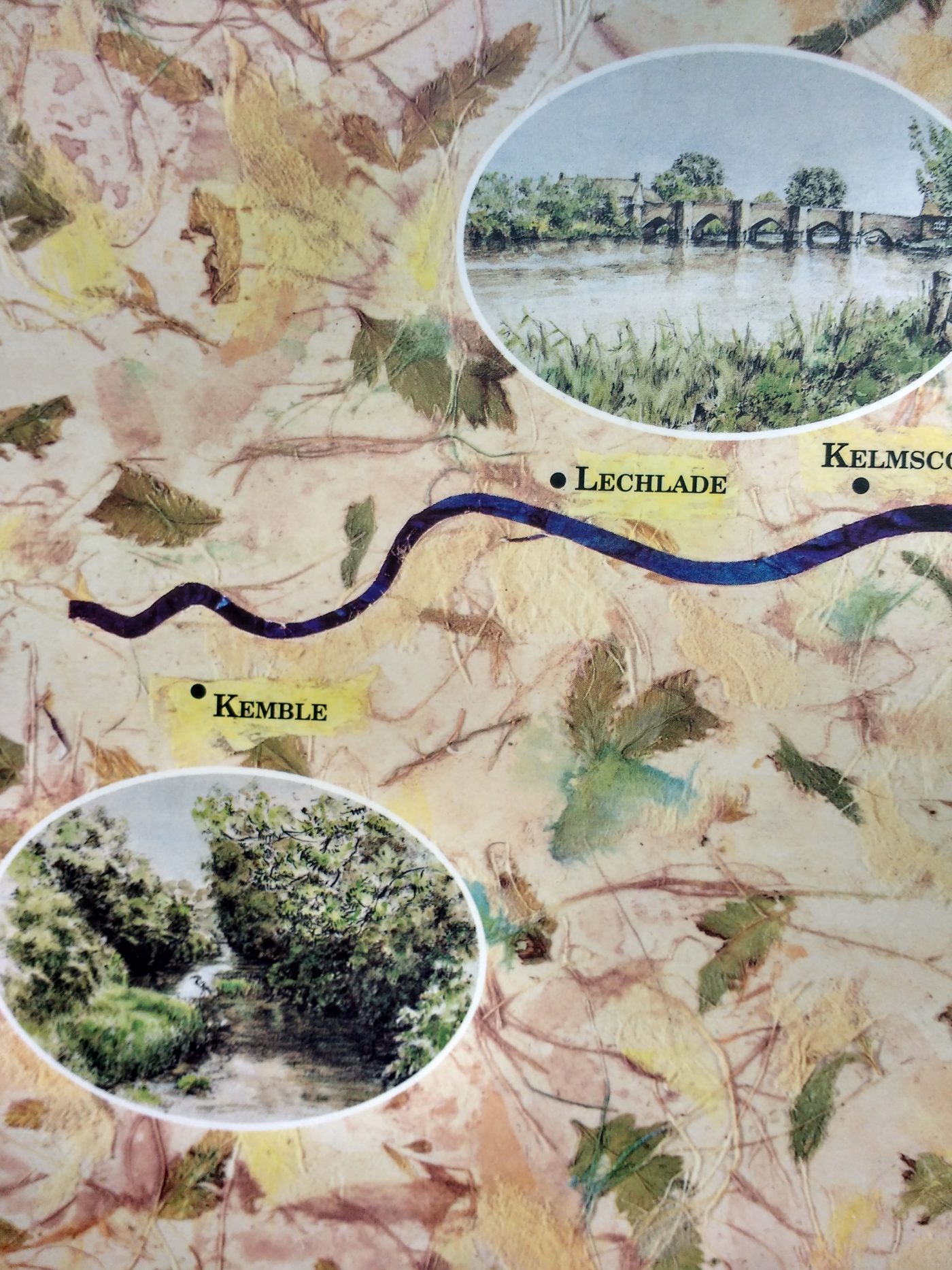 Appeal launched to buy vital piece of River Thames wildlife jigsaw ...